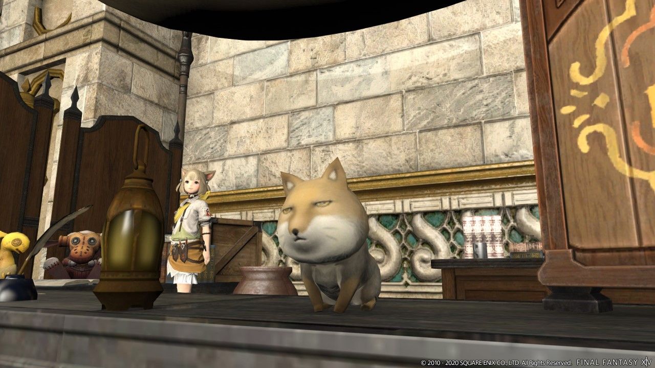 Cómo conseguir a Corgi en Final Fantasy 14 - EvelonGames | Noticias y ...