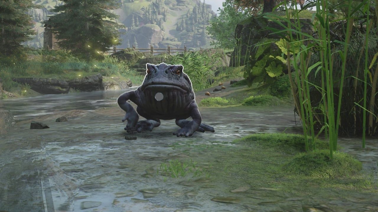 Dónde encontrar sapos morados gigantes en Hogwarts Legacy - EvelonGames