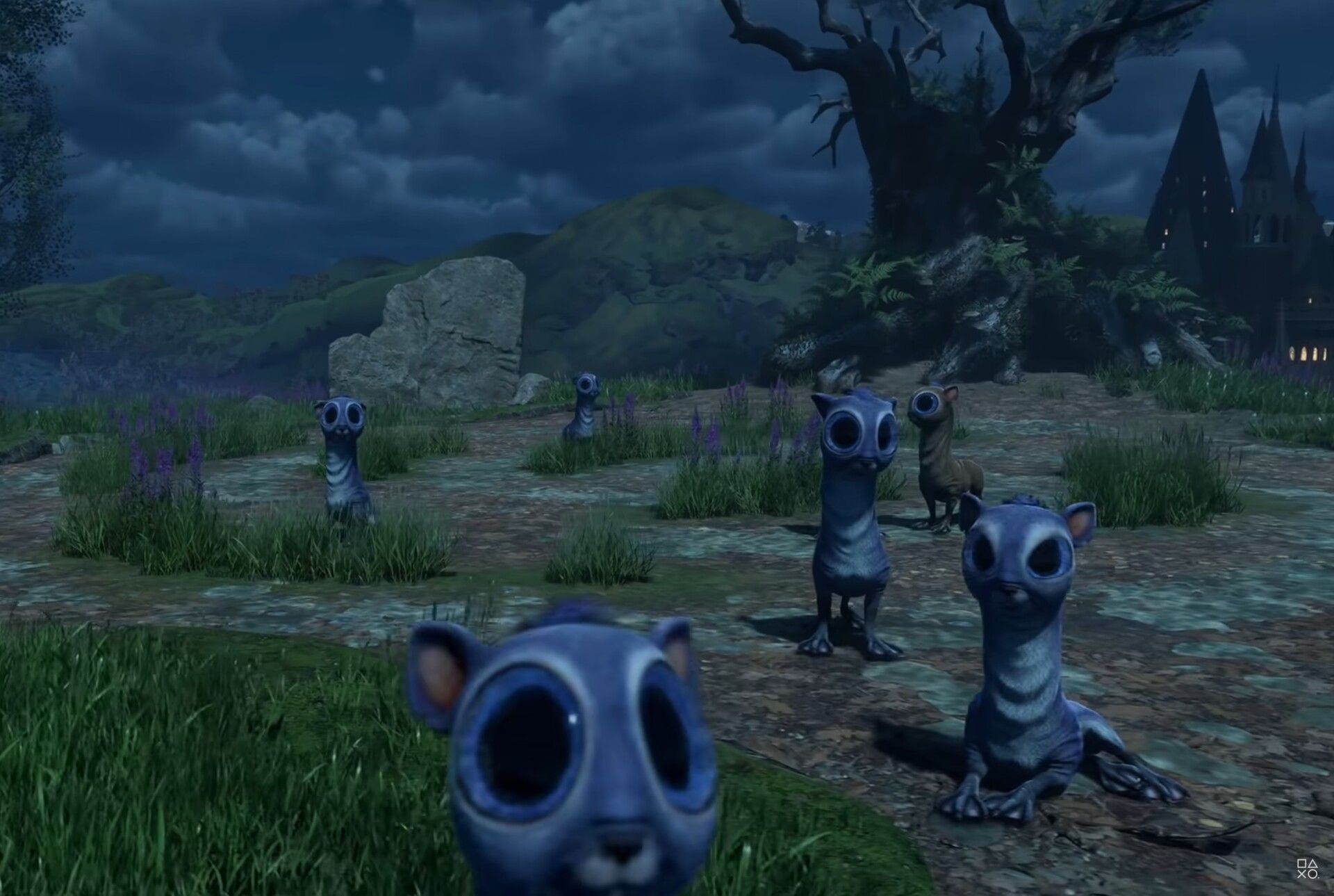 Dónde encontrar Mooncalves en Hogwarts Legacy - EvelonGames